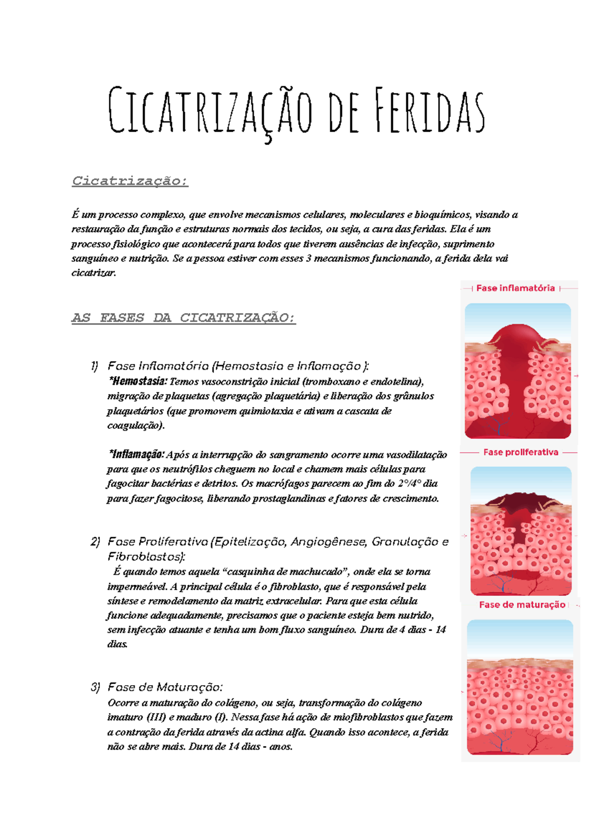 Cicatrização de Feridas - Cicatrização de Feridas Cicatrização: É um ...