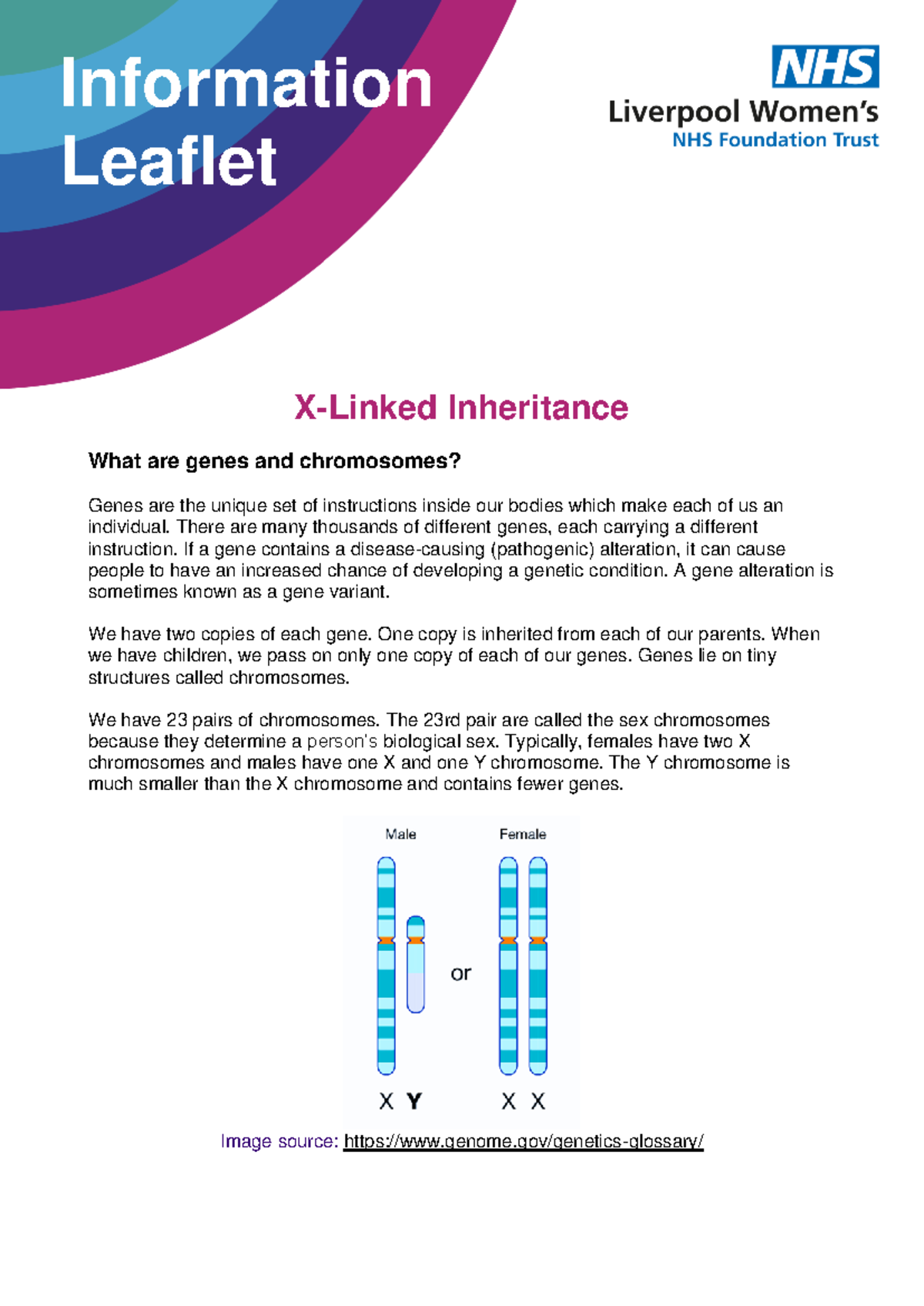 X linked inheritance leaflet - X-Linked Inheritance What are genes and ...