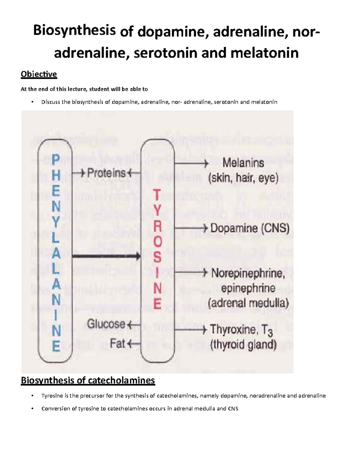 Unit - 2 Biosynthesis of dopamine, adrenaline, nor adrenaline ...