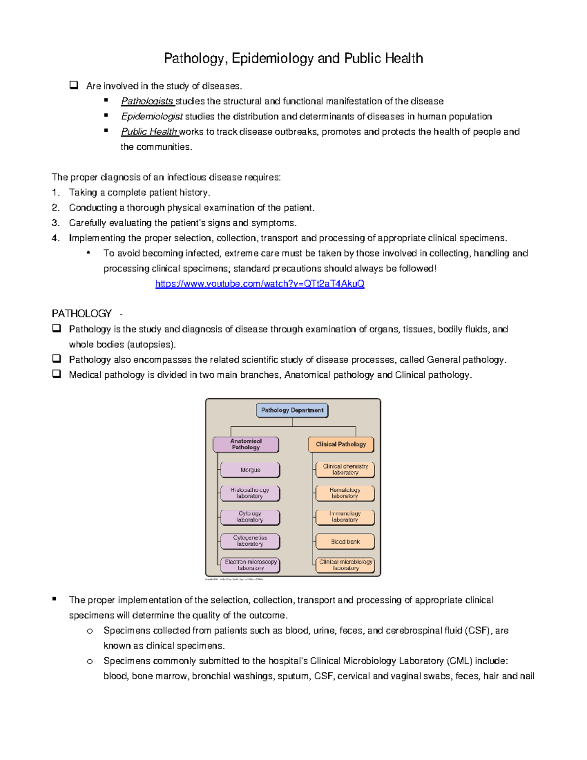 12 Pathology, Epidemiology and Public Health - Pathologists studies the ...