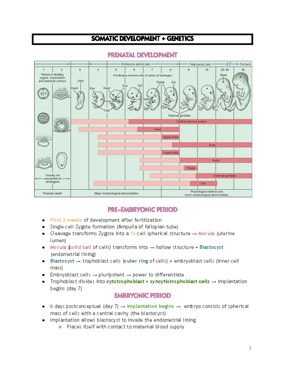 Peds - Exam 1 - Study guide for exam 1 - SOMATIC DEVELOPMENT + GENETICS ...