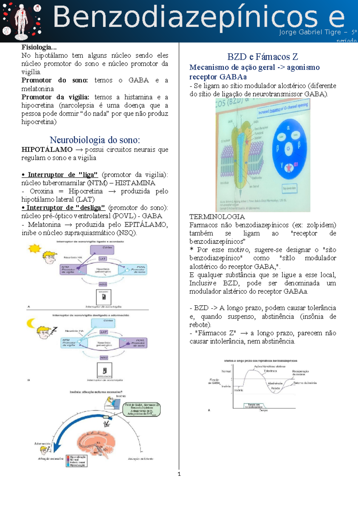 Benzodiazep Ã nicos e FÃ¡rmacos Z - fármacos Z Jorge Gabriel Tigre – 5º ...