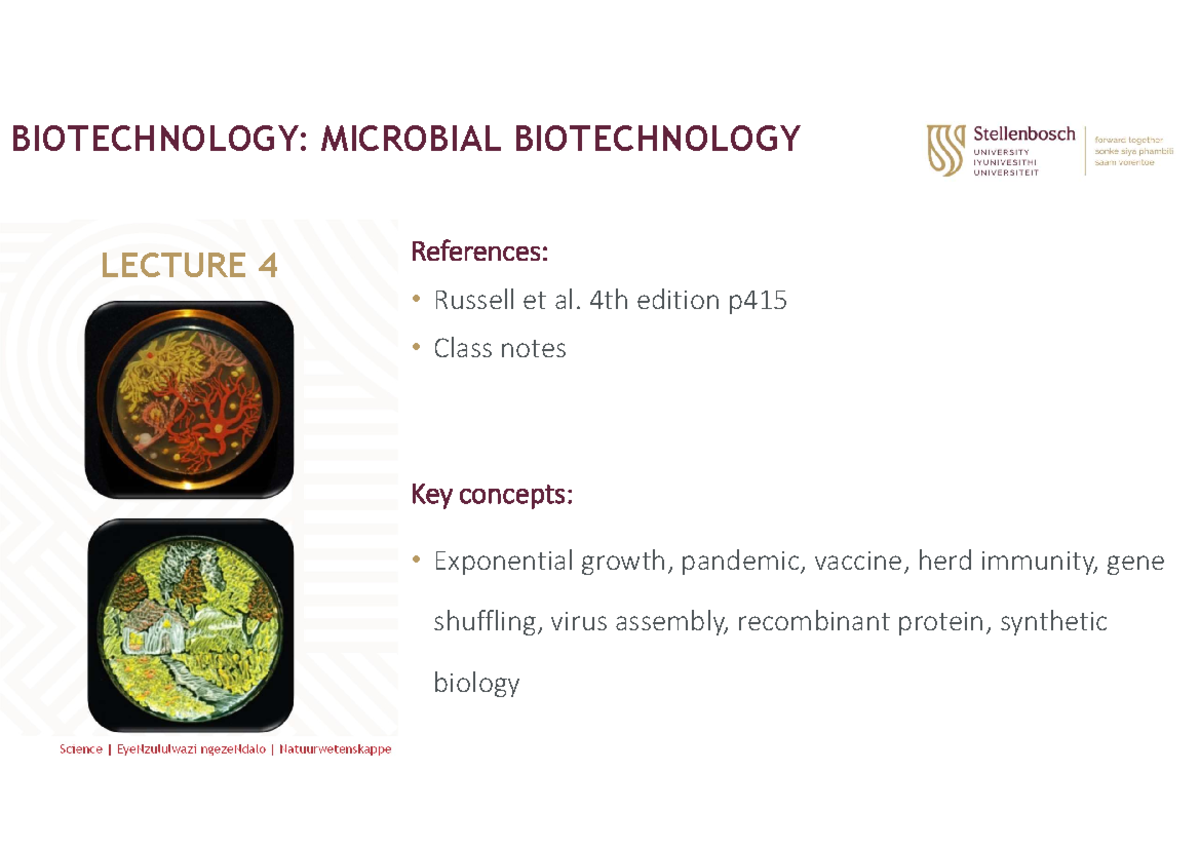 Lecture 4 Microbial Biotechnology - LECTURE 4 BIOTECHNOLOGY: MICROBIAL ...