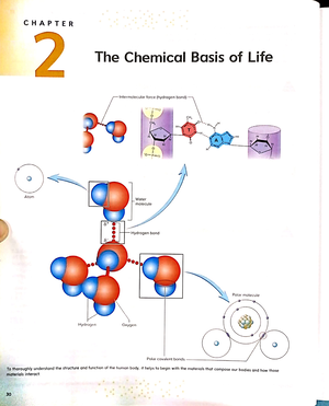 Group 2 - Written Report - Scholastica's College Tacloban, Inc ...