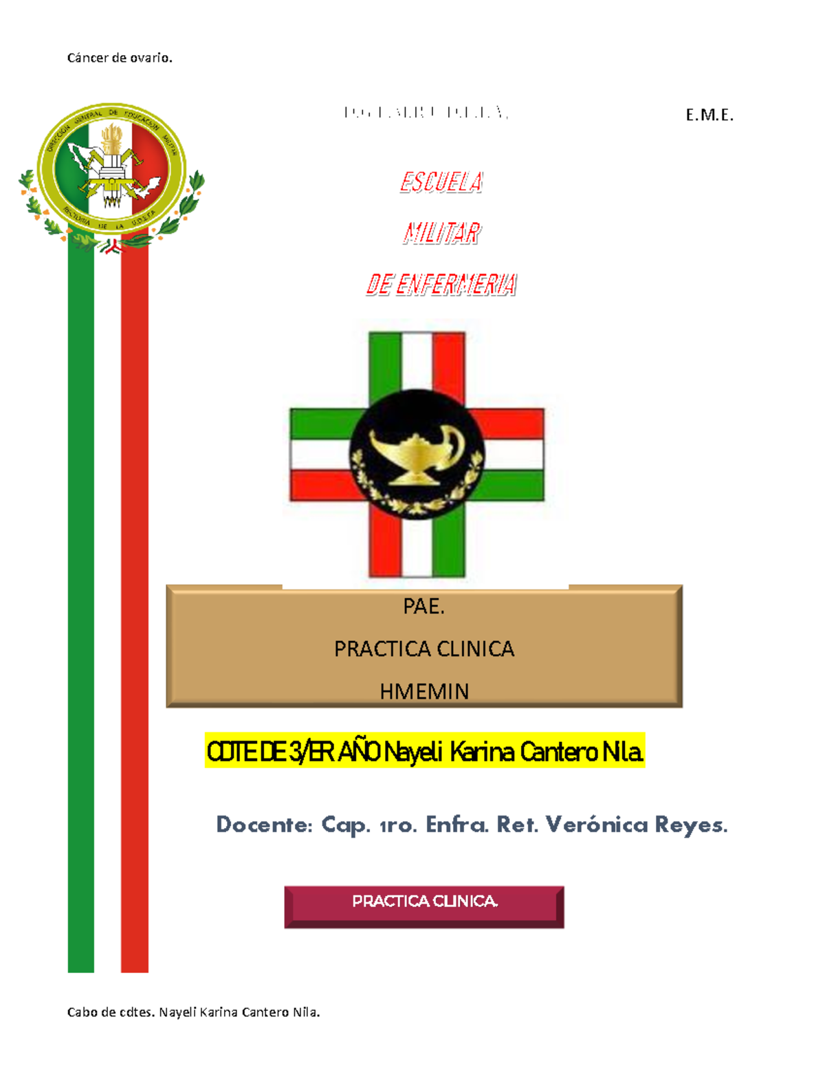 PAE - PAE - CDTE DE 3/ER AÑO Nayeli Karina Cantero Nila. PAE. PRACTICA ...
