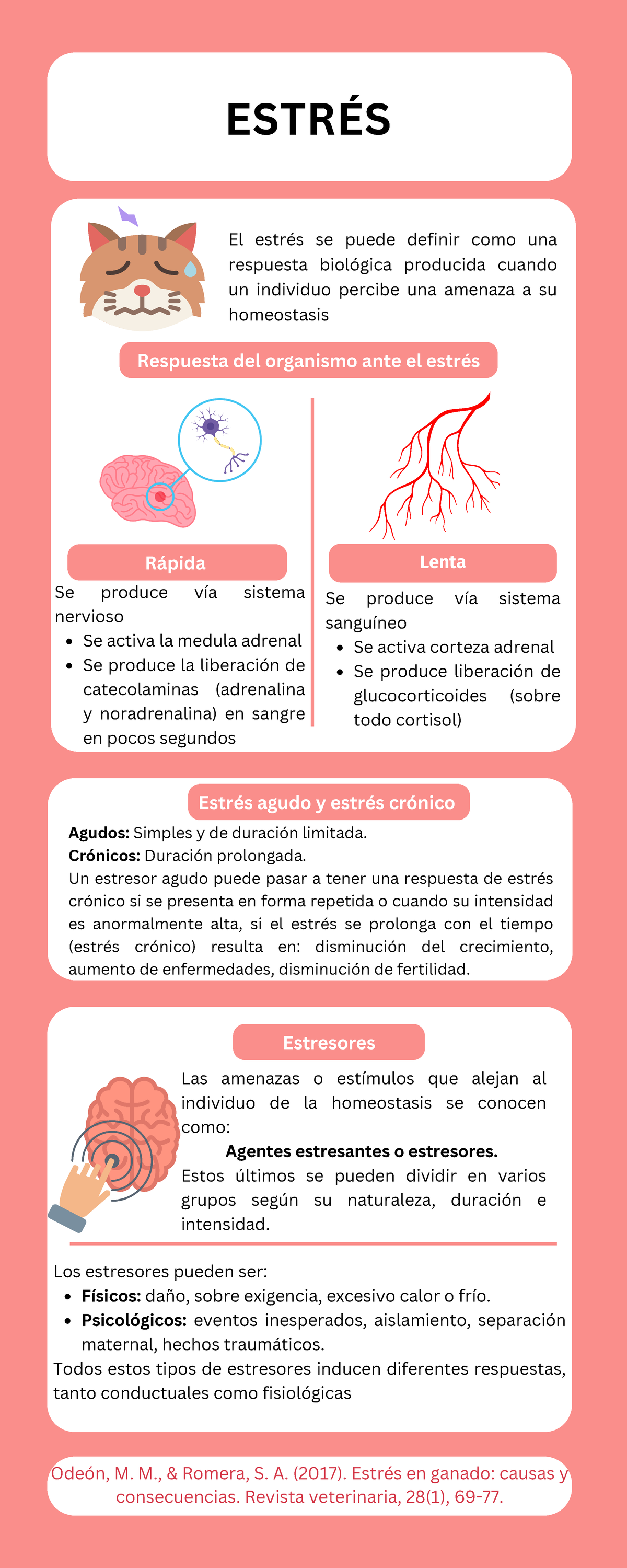 Infografía, estrés - Infografia - Respuesta del organismo ante el ...