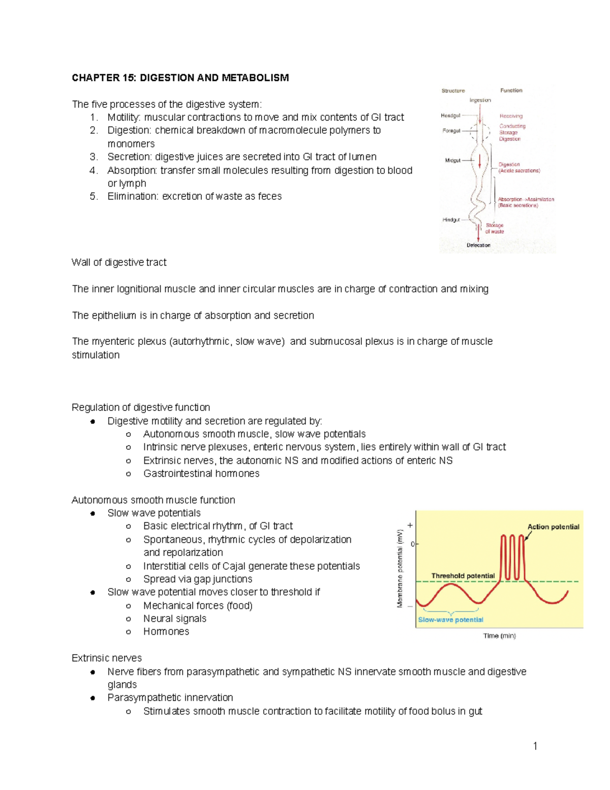 Chapter 15 Digestion AND Metabolism - CHAPTER 15: DIGESTION AND ...