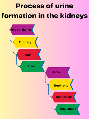 Paxton Patterson Worksheet - Pharmacology Worksheet Activity 3 ...