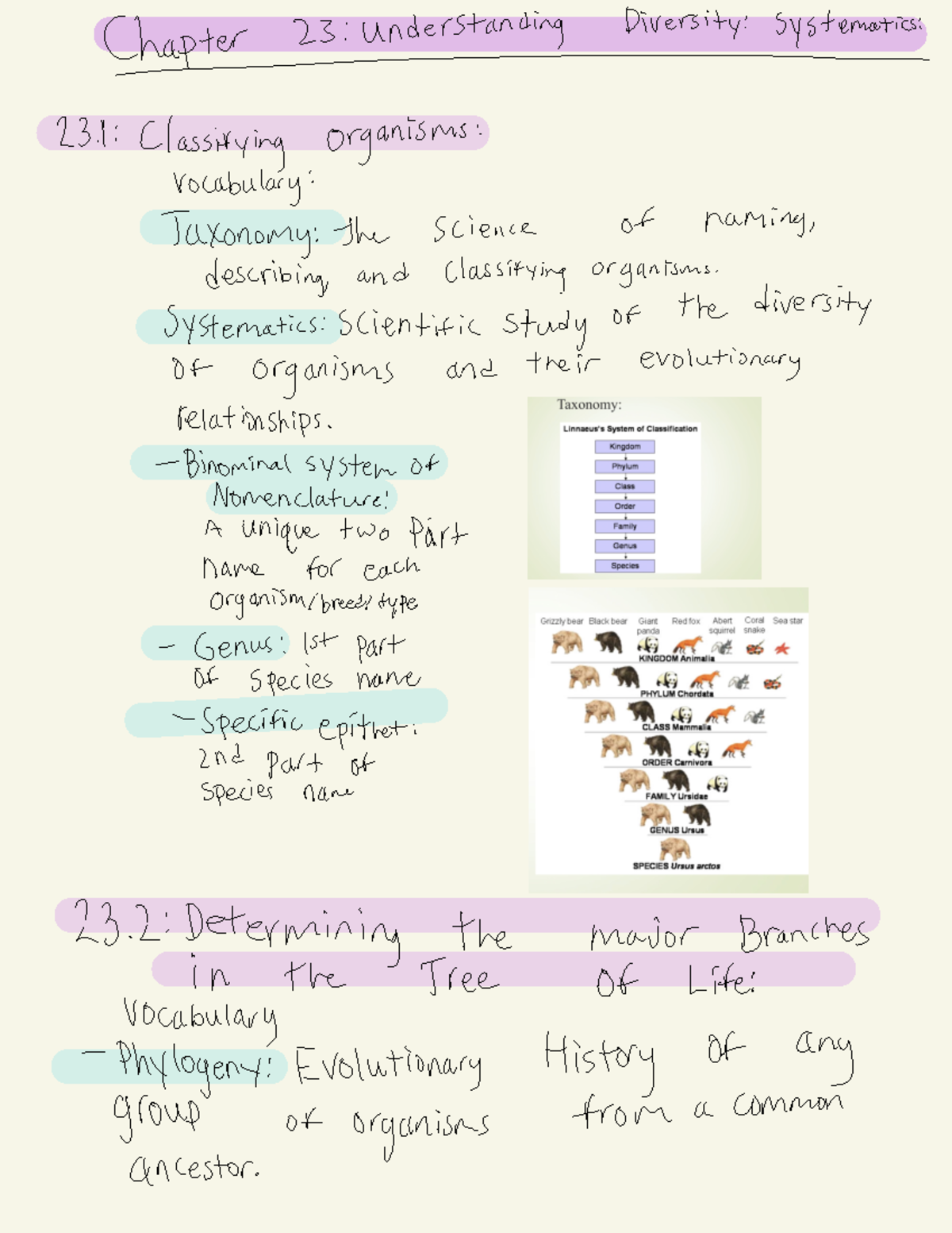 General biology notes - chapter23iunderstandingdiversity/stema+i# 23 ...
