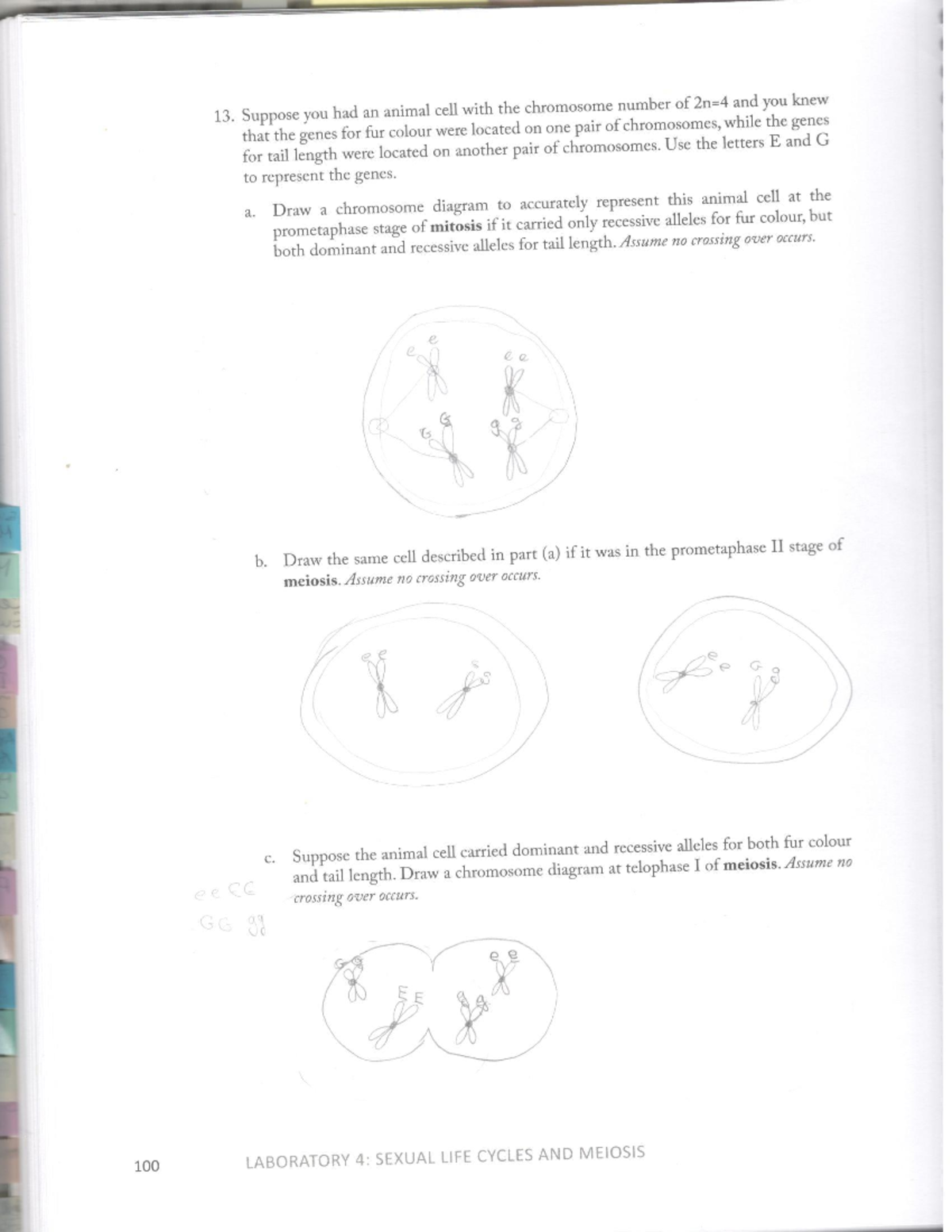 Scanlab 4 6 - lab scan - Bio152 - Studocu