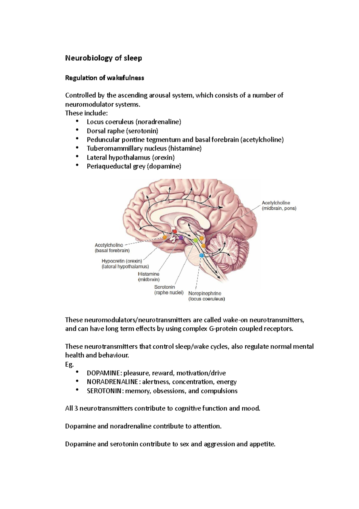 Vital functions of sleep - Neurobiology of sleep Regulation of ...