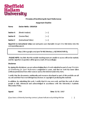 Program Cards level 3 - Program Card 1: Client Name: Safety checks: N/A ...