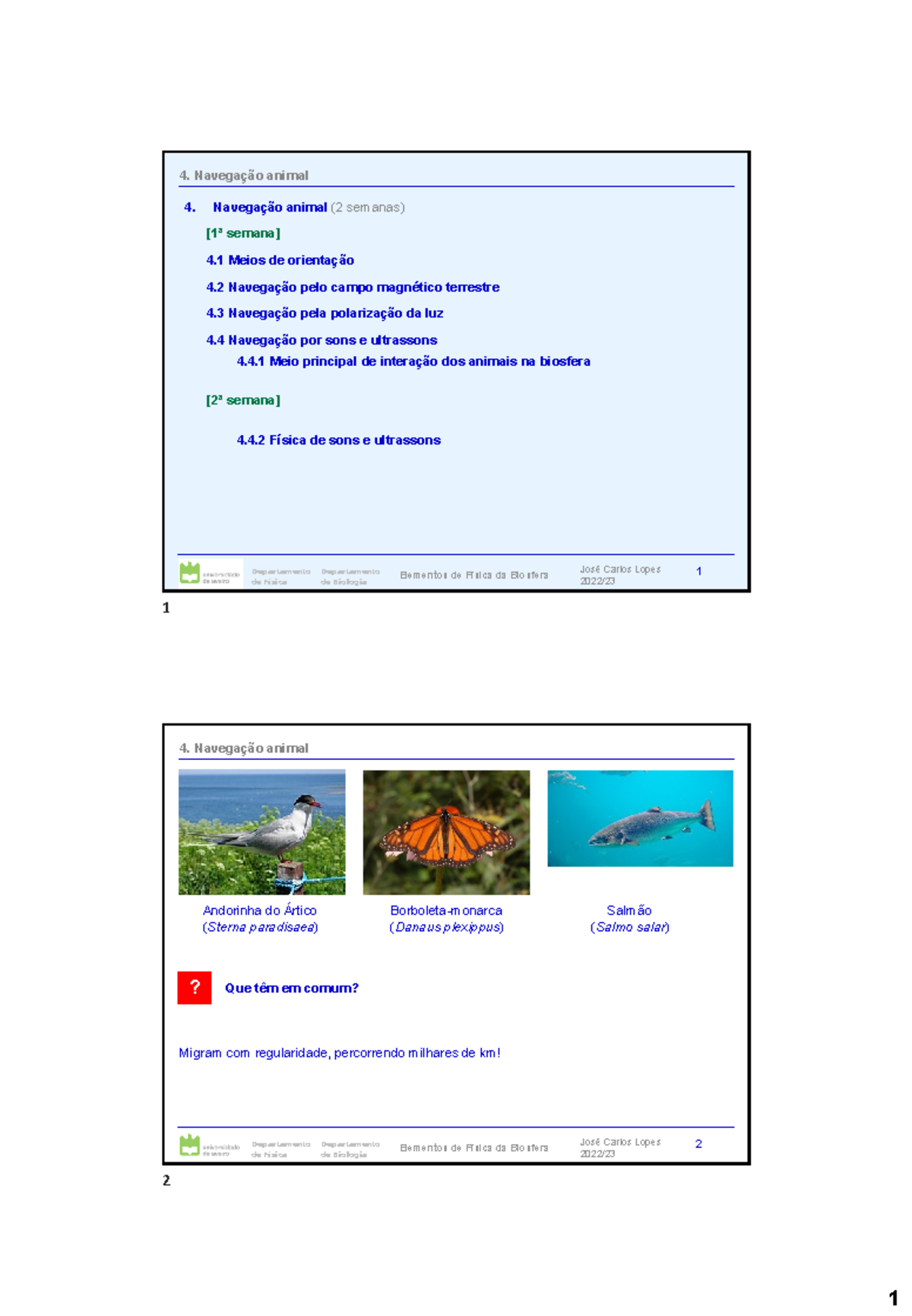 EFB-4. Navegação animal-2022-elearning - Departamento de Física ...