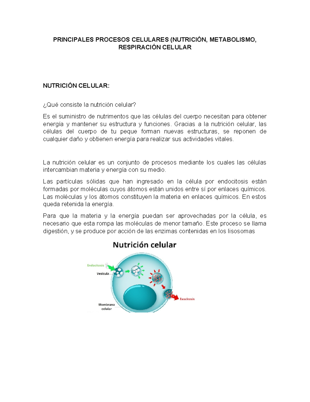 Principales Procesos Celulares - PRINCIPALES PROCESOS CELULARES ...
