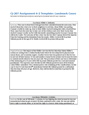 4-2 Project, The court system - CJ 207 Project One Template Complete ...