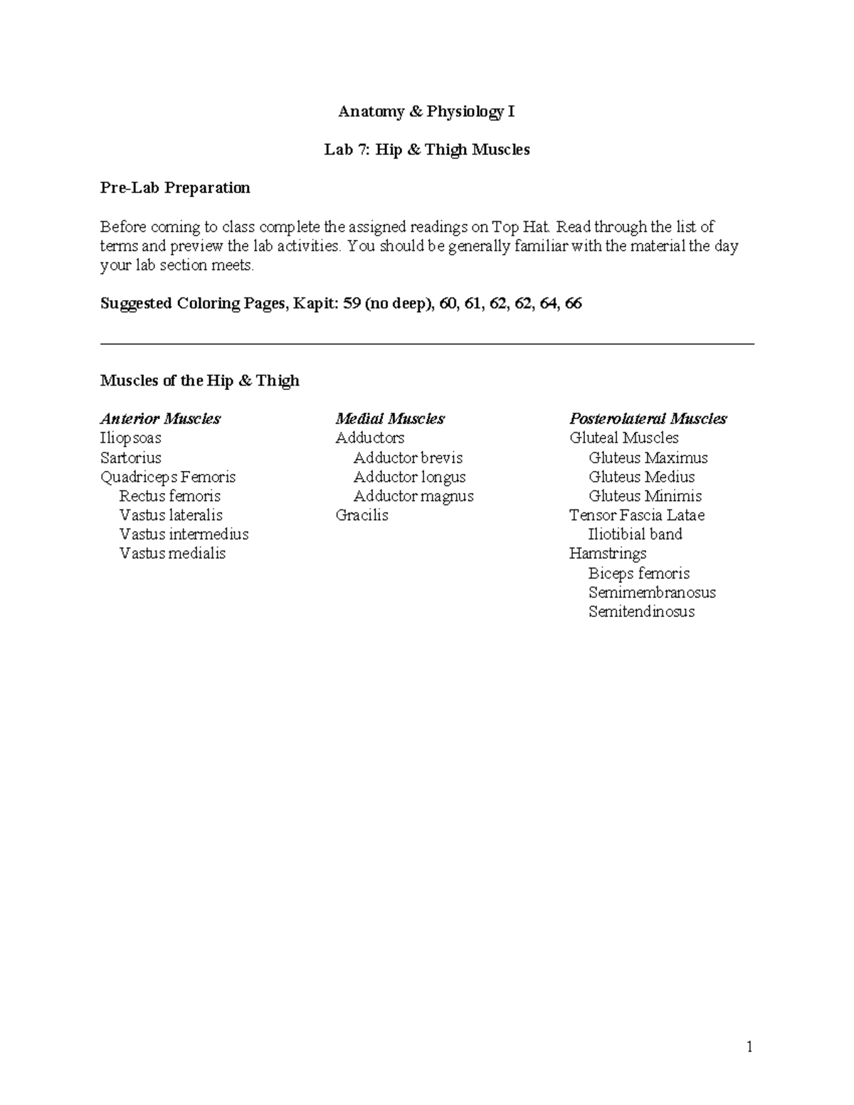 Lab+7+Packet+Lower+Extremity+Muscles+%28Student+Version%29 ...