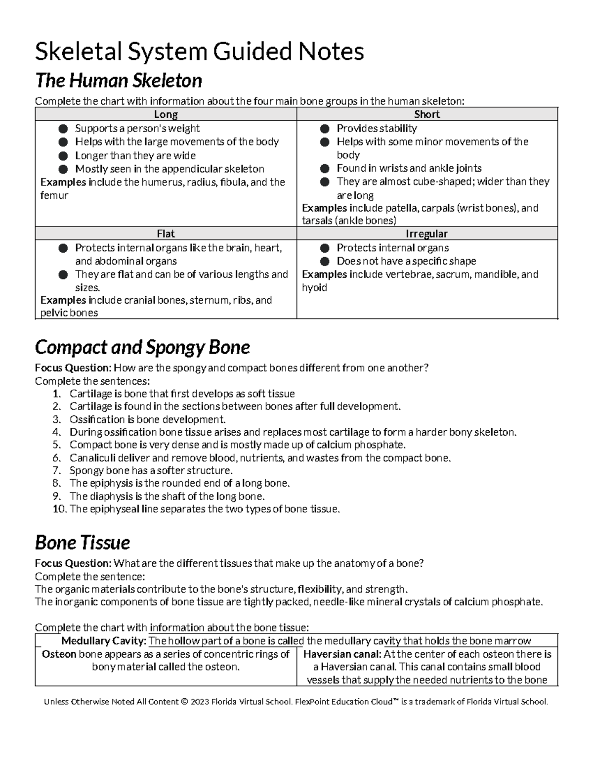 2.2 Skeletal System GN - Skeletal System Guided Notes The Human ...