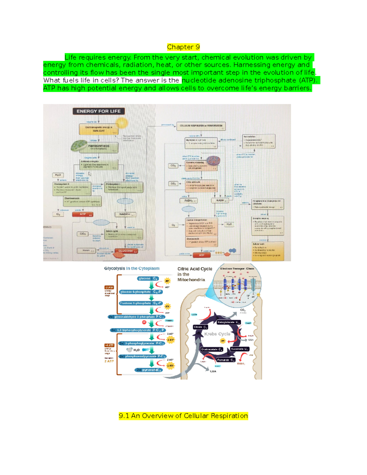 Chapter 9 - Cellular Respiration - Chapter 9 Life requires energy. From the very start, chemical ...