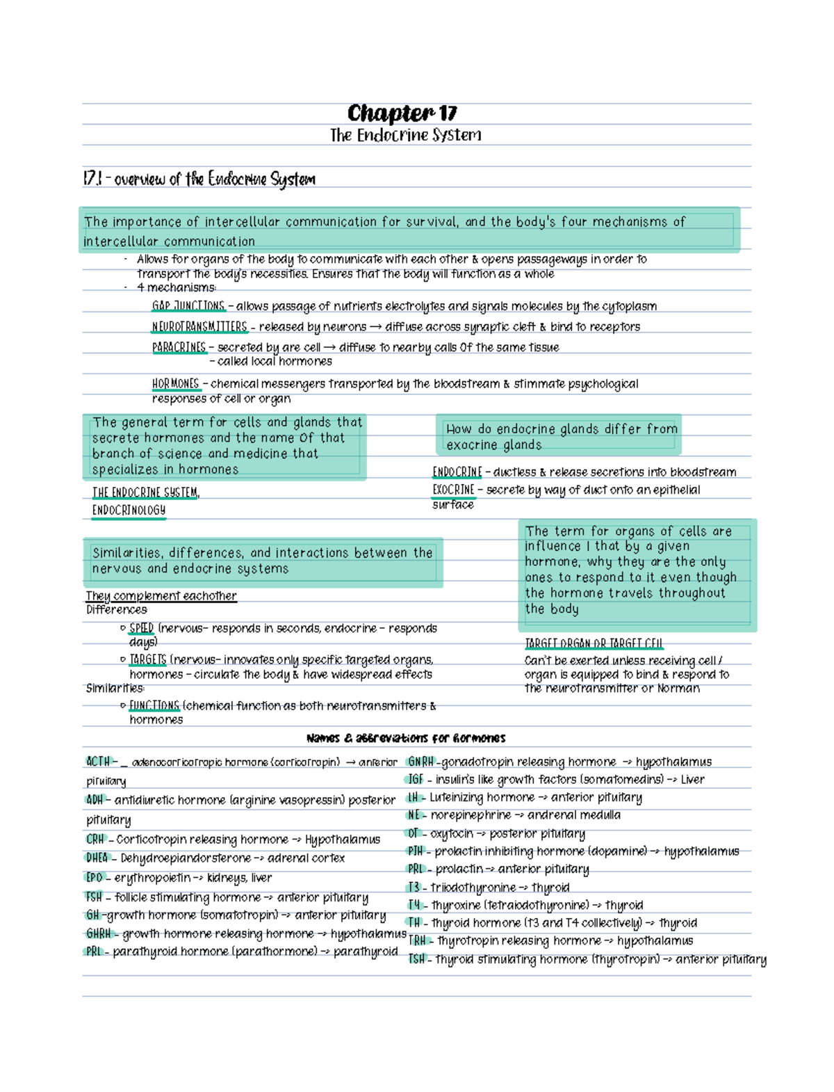 Chapter 17 - Text book outline notes - The Endocrine System Chapter 17 ...