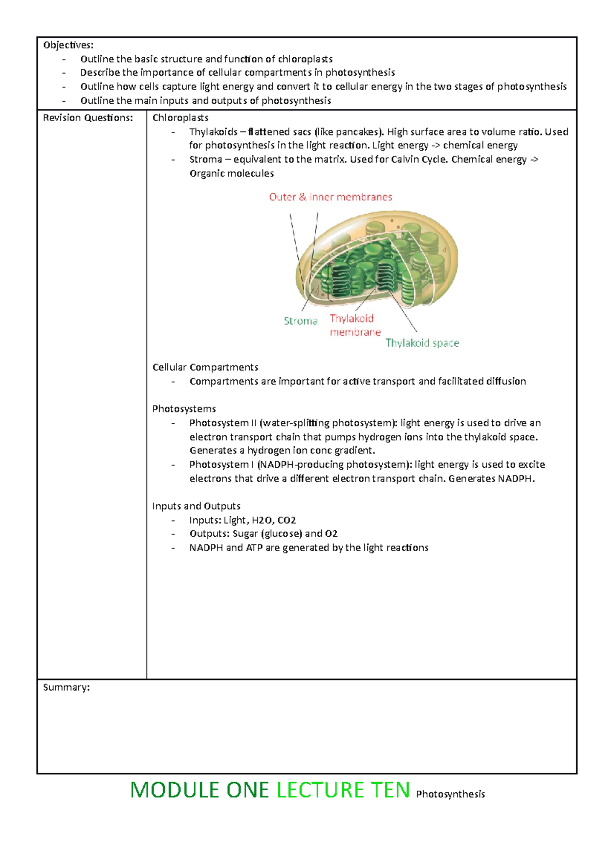 Module 1 Lecture 10 - Photosynthesis - Objectives: - Outline the basic ...