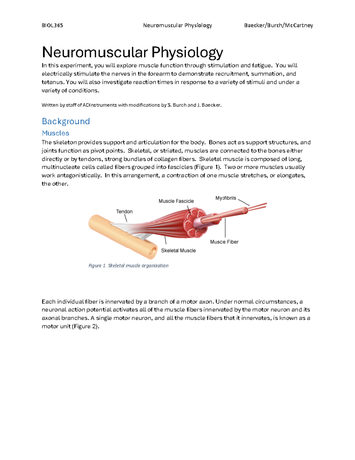 Neuromuscular Physiology Lab - Neuromuscular Physiology In this ...