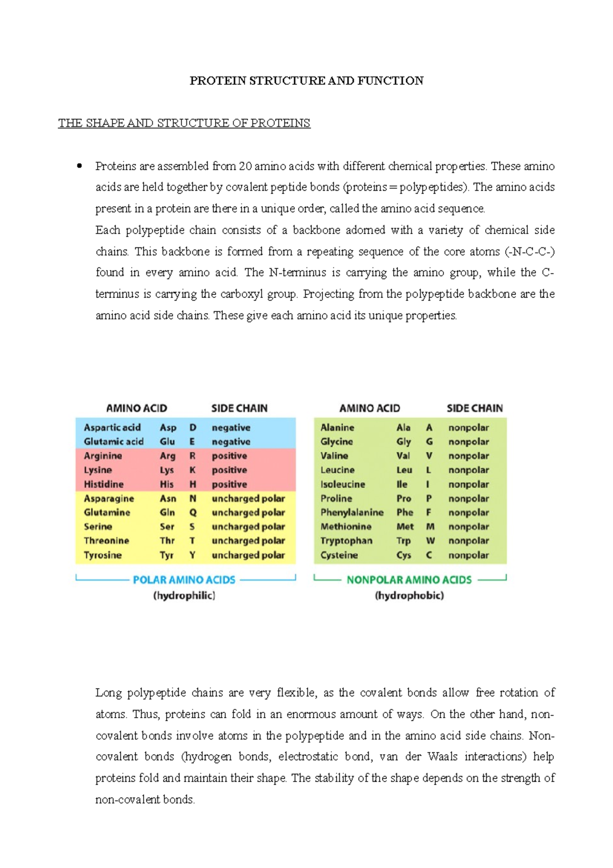 3. Protein Structure and Function - Essential Cell Biology - PROTEIN ...