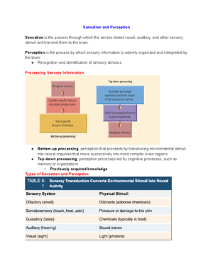 Chapter 4 - Developmental Psychology - Chapter 4: Developmental ...