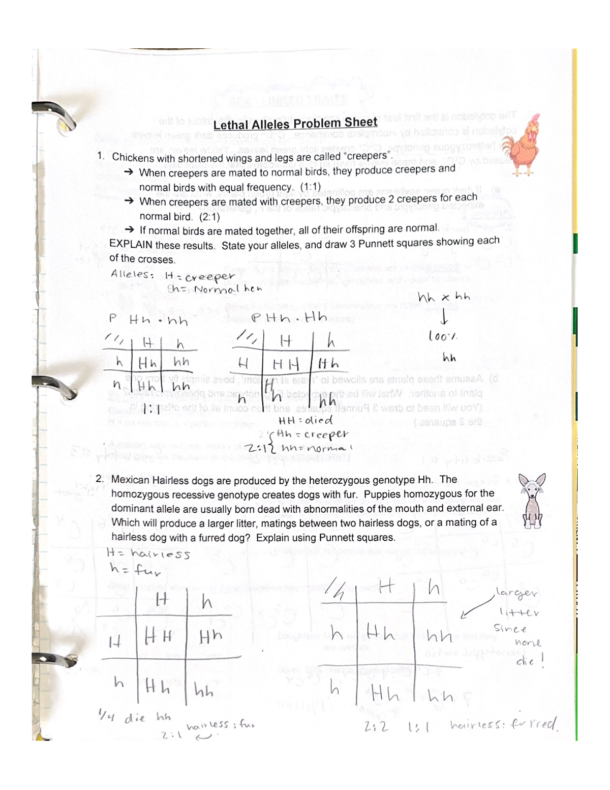 Lethal Alleles Problem Sheet - Studocu
