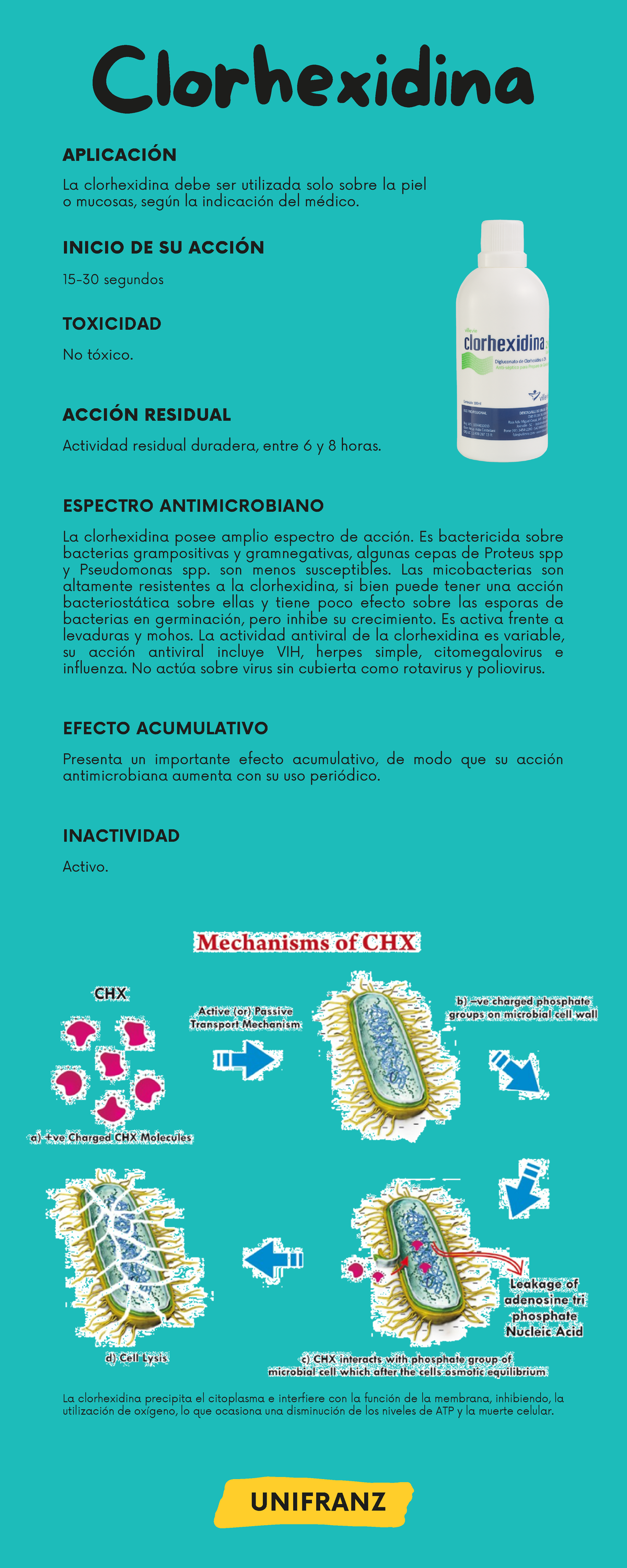 Clorhexidina - antiseptico - Clorhexidina UNIFRANZ La clorhexidina ...
