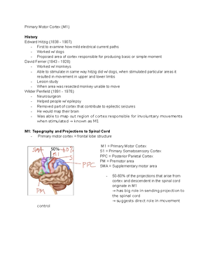 Kin- Introduction to Psychomotor Learning - Kin- Introduction to ...