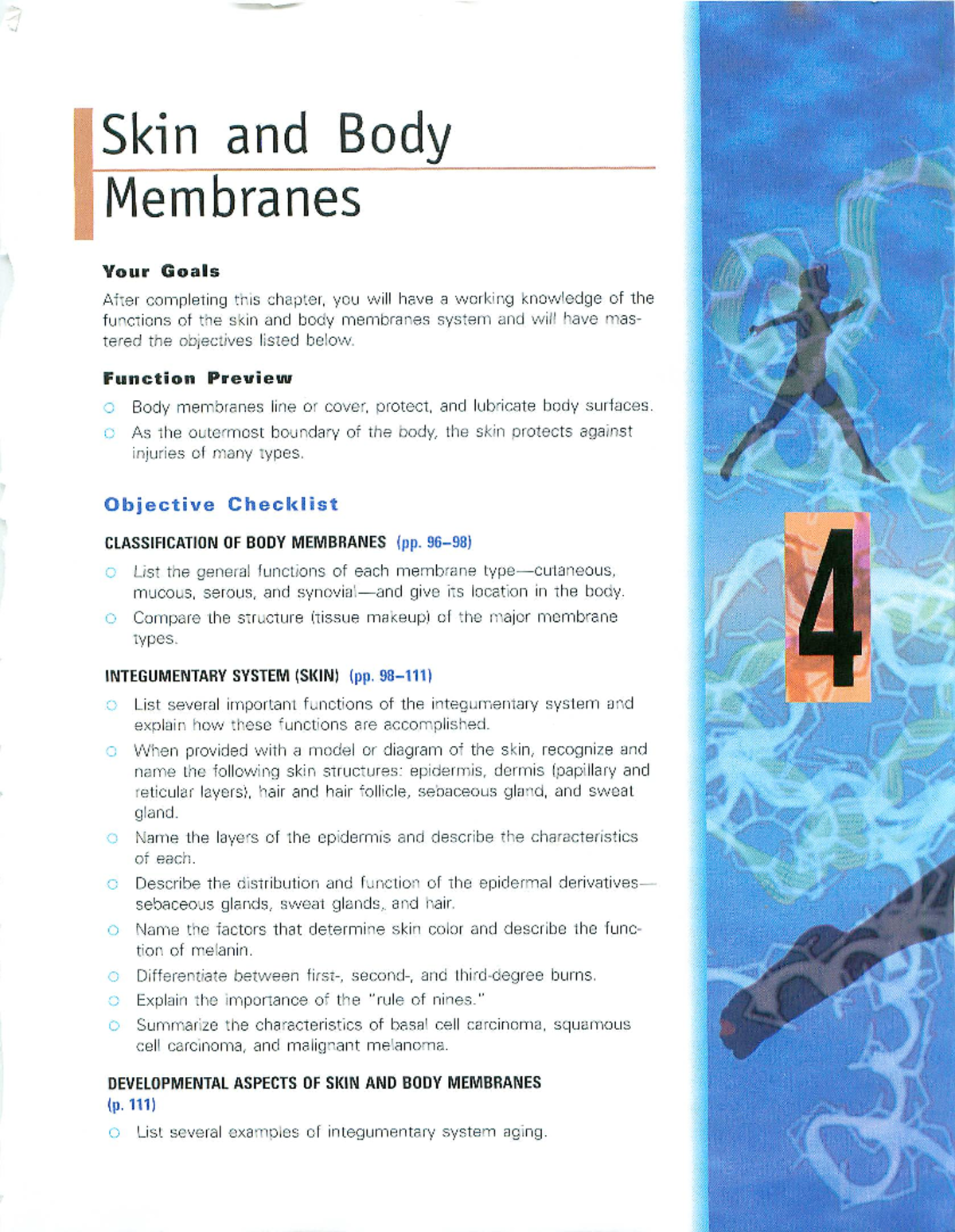Chapter 4 skin and body membranes - Skin and Body Membranes Your Goals ...