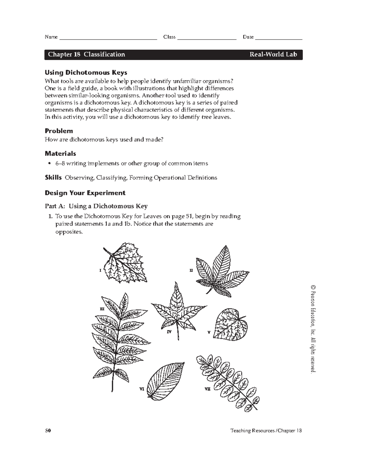 Biolab 20 - Using Dichotomous Keys What tools are available to help ...