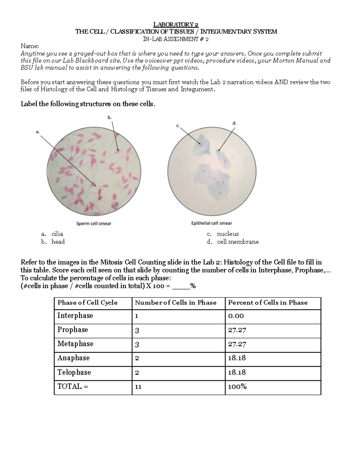 Late lab 2 - lab - LABORATORY 2 THE CELL / CLASSIFICATION OF TISSUES ...