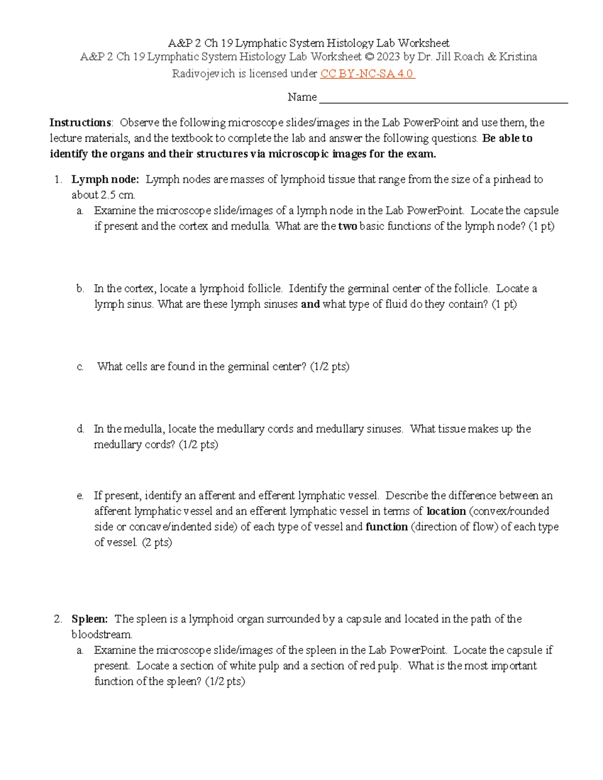 A&P2 Ch 19 Lymphatic System Histology Lab Worksheet - Jill Roach ...