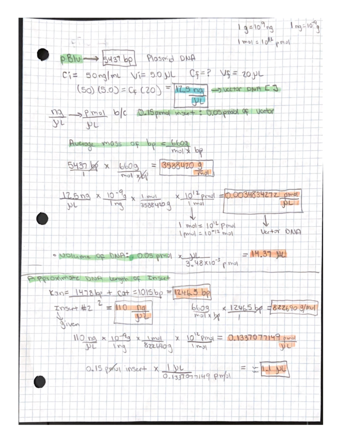 Ligation Calculations - MCB 251 - Studocu