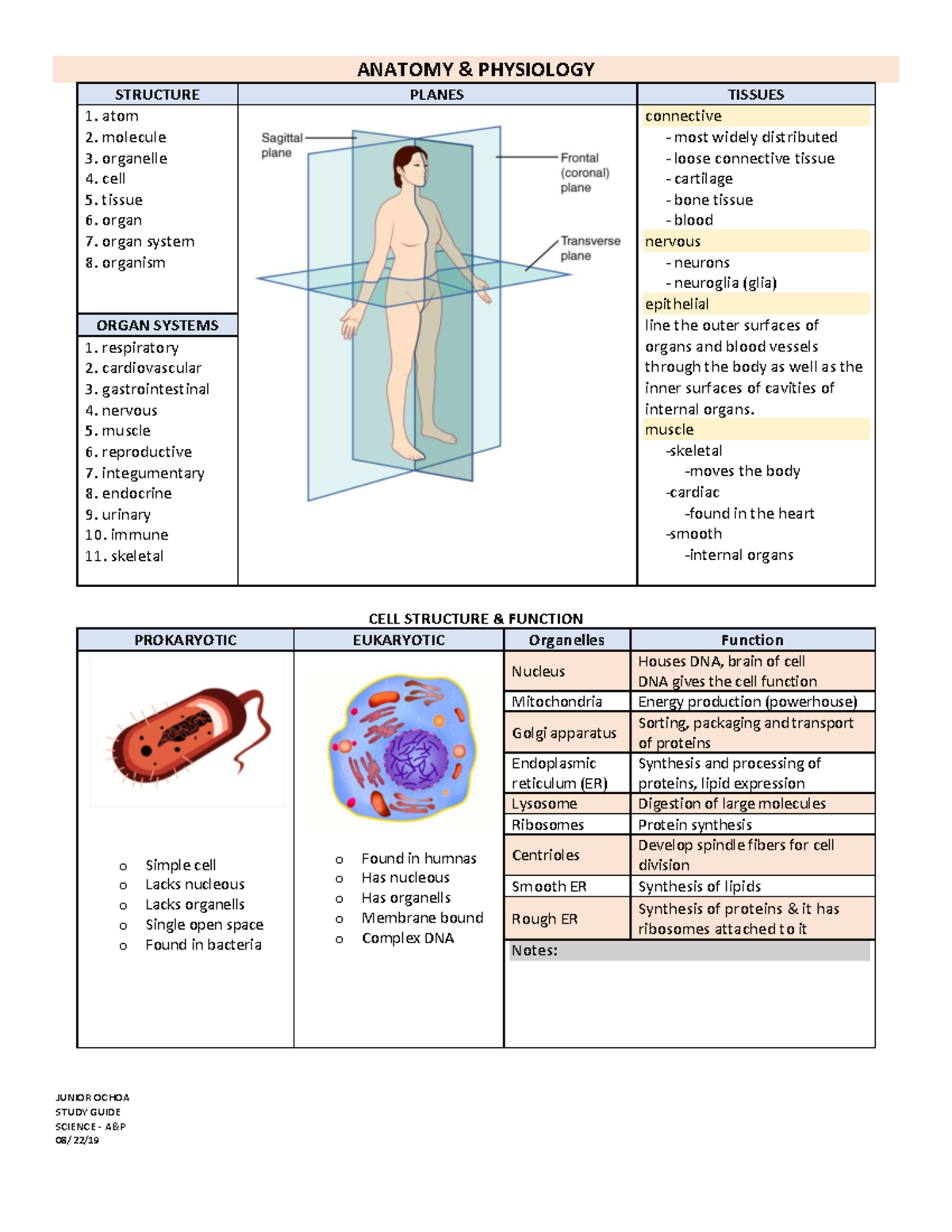 M9jq O1VZRh2B33te E6BI TEAS - Science Study Guide - ANATOMY ...