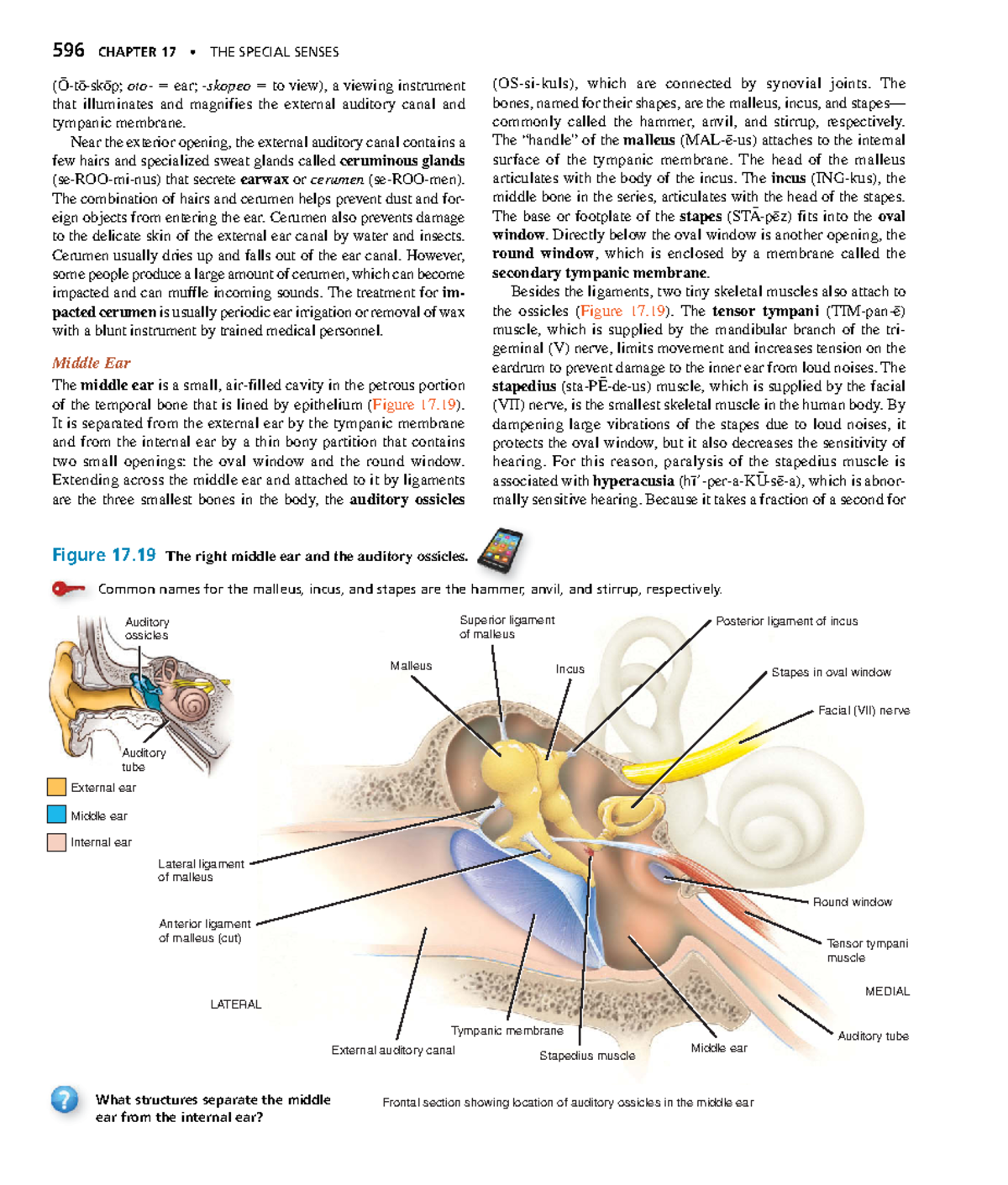 Anatomyand Physiology-210 - 596 CHAPTER 17 • THE SPECIAL SENSES (OS-si ...