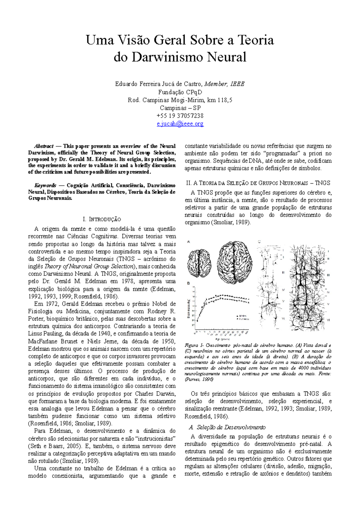 IA889-16 - Abstract — This paper presents an overview of the Neural ...