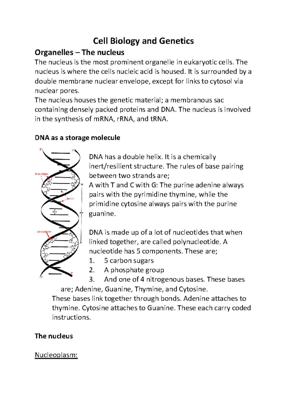 Cell Biology and Genetics DNA and the nucleus - Warning: TT: undefined function: 32 Warning: TT ...