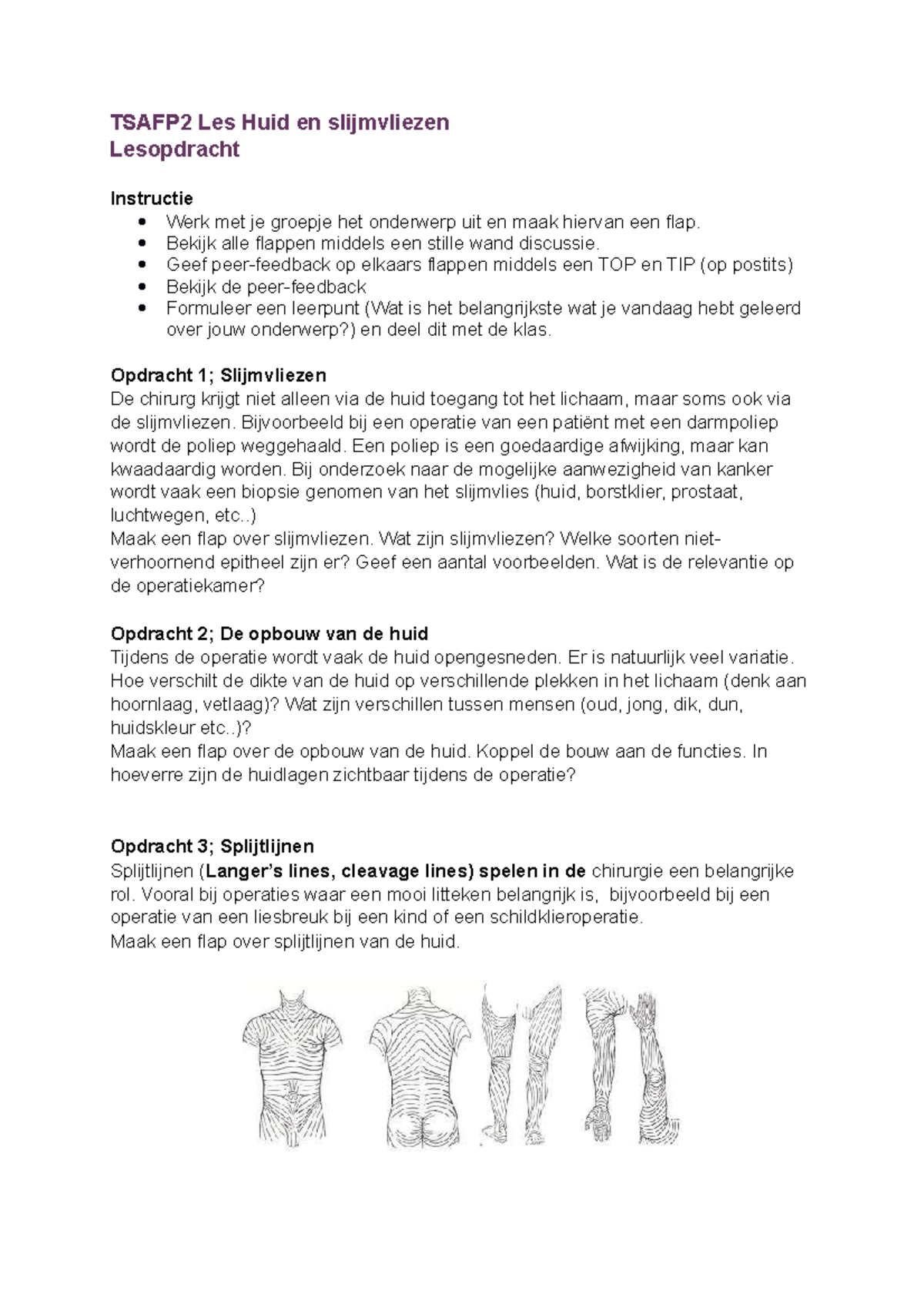 Tsafp 2 les huid en slijmvliezen lesopdracht - TSAFP2 Les Huid en ...