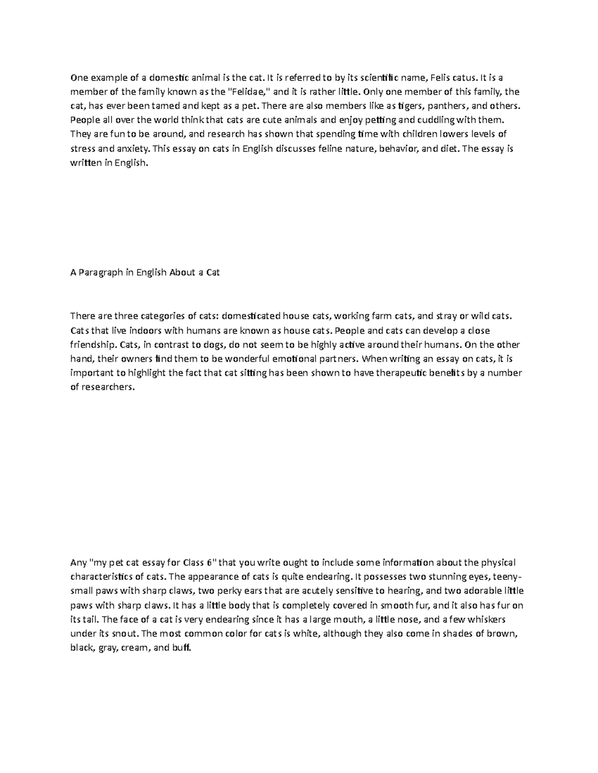 Cat - cat essay - One example of a domestic animal is the cat. It is ...