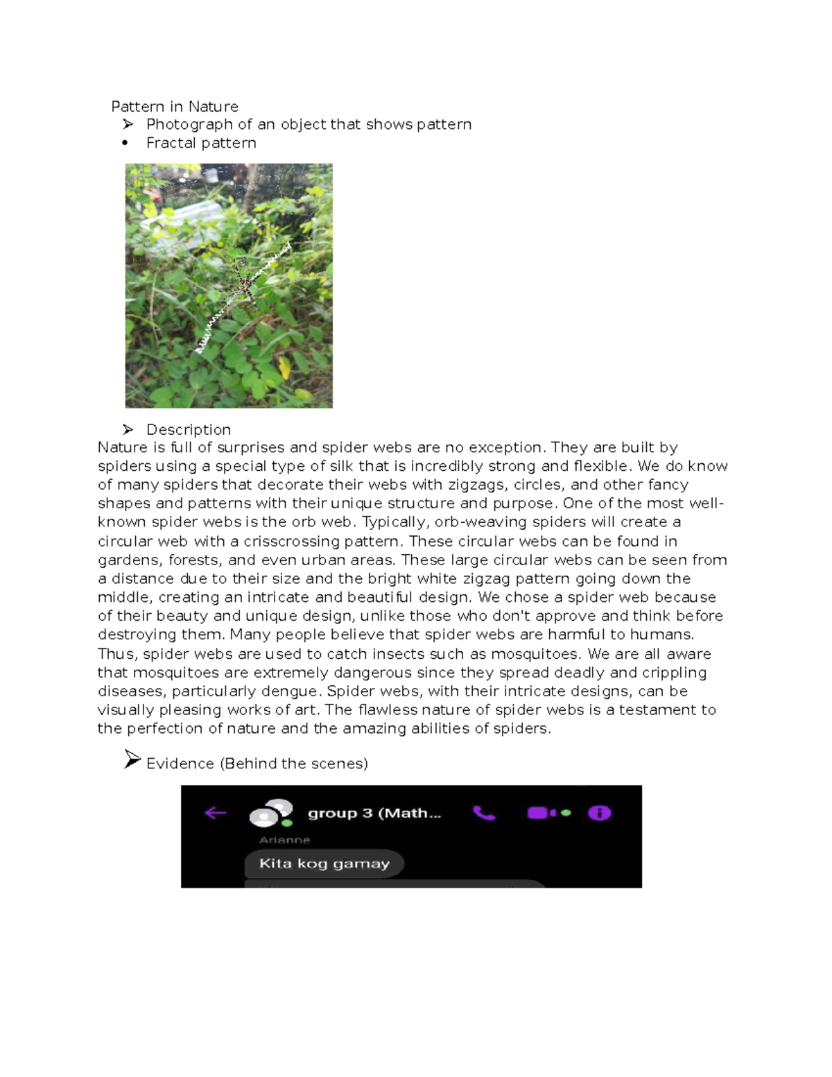 Mathematics-in-the-modern-World-1D-G3 - Pattern in Nature Photograph of ...