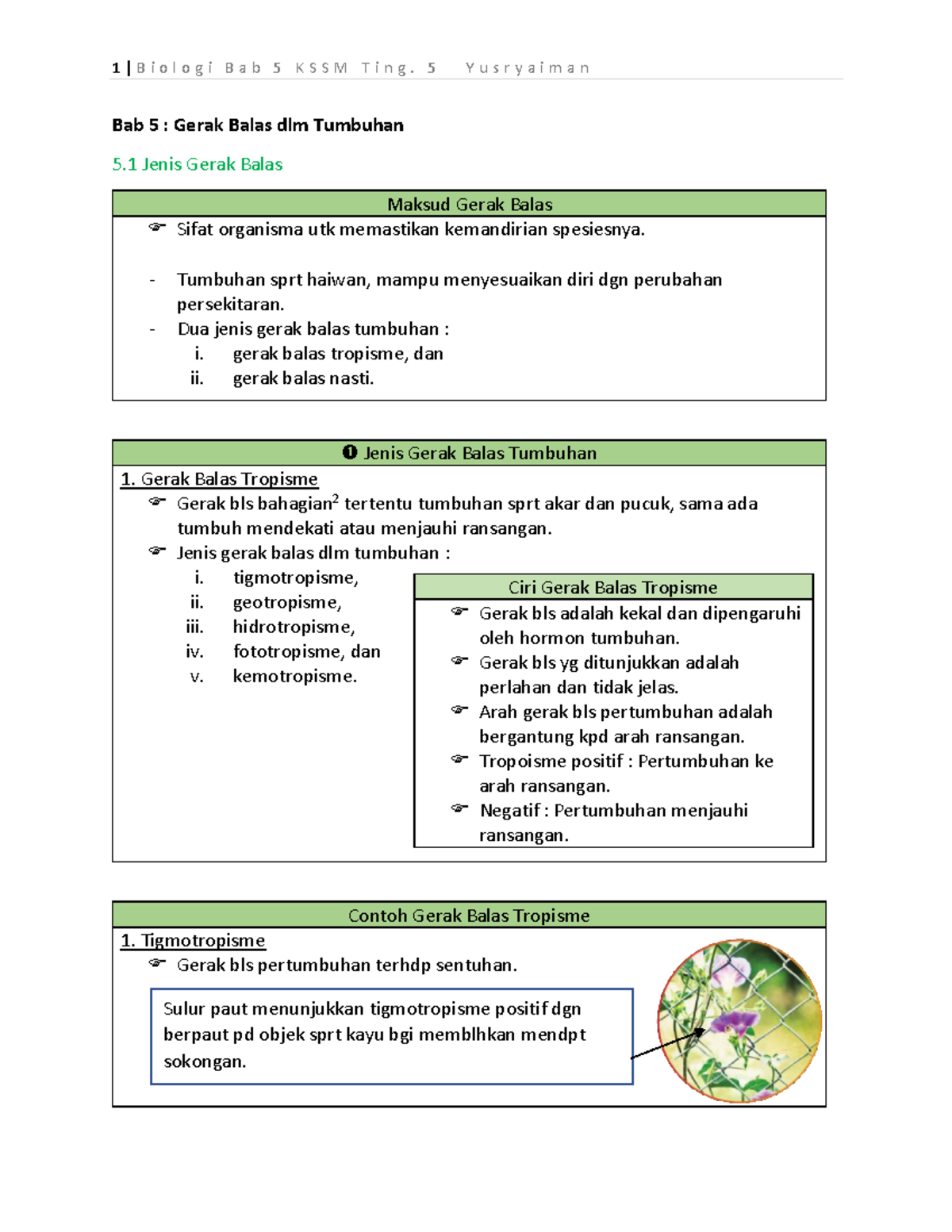 Bab 5 Bio KSSM T5 - for learning - Bab 5 : Gerak Balas dlm Tumbuhan 5 ...