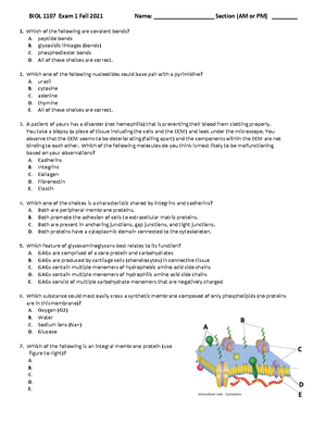 Exam 1 Review - Exam terminology - Invitation to Biology (Lectures 1- 4 ...