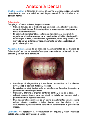 Anatomía de la boca - Labio Encia Rafe superior Frenillo palatino ...