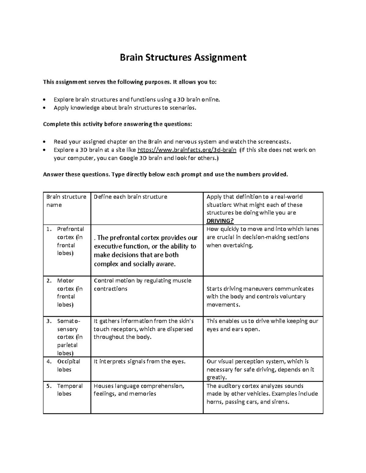 Runnion Brain - This is assignment for the unit 2 - Brain Structures ...