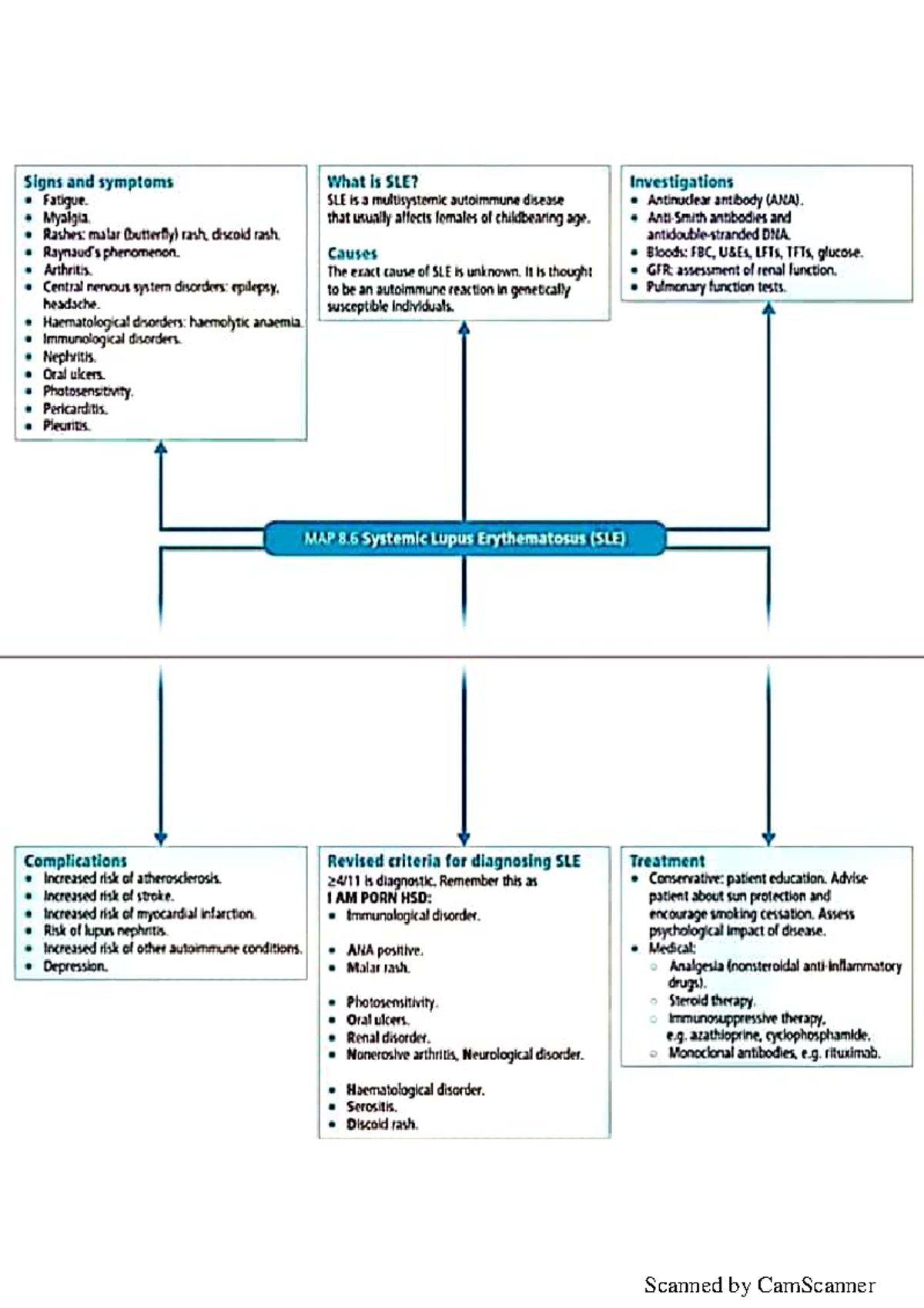 SLE, brain, hypersensitivity - Neurology Diseases - Studocu
