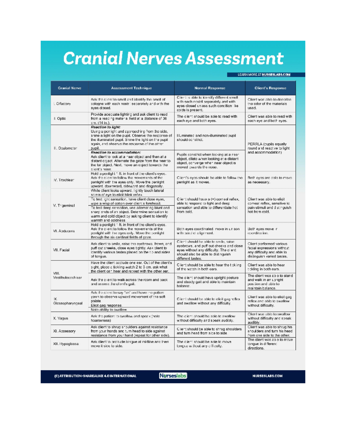 Cranial nerves - RENR - nursing practice - Studocu