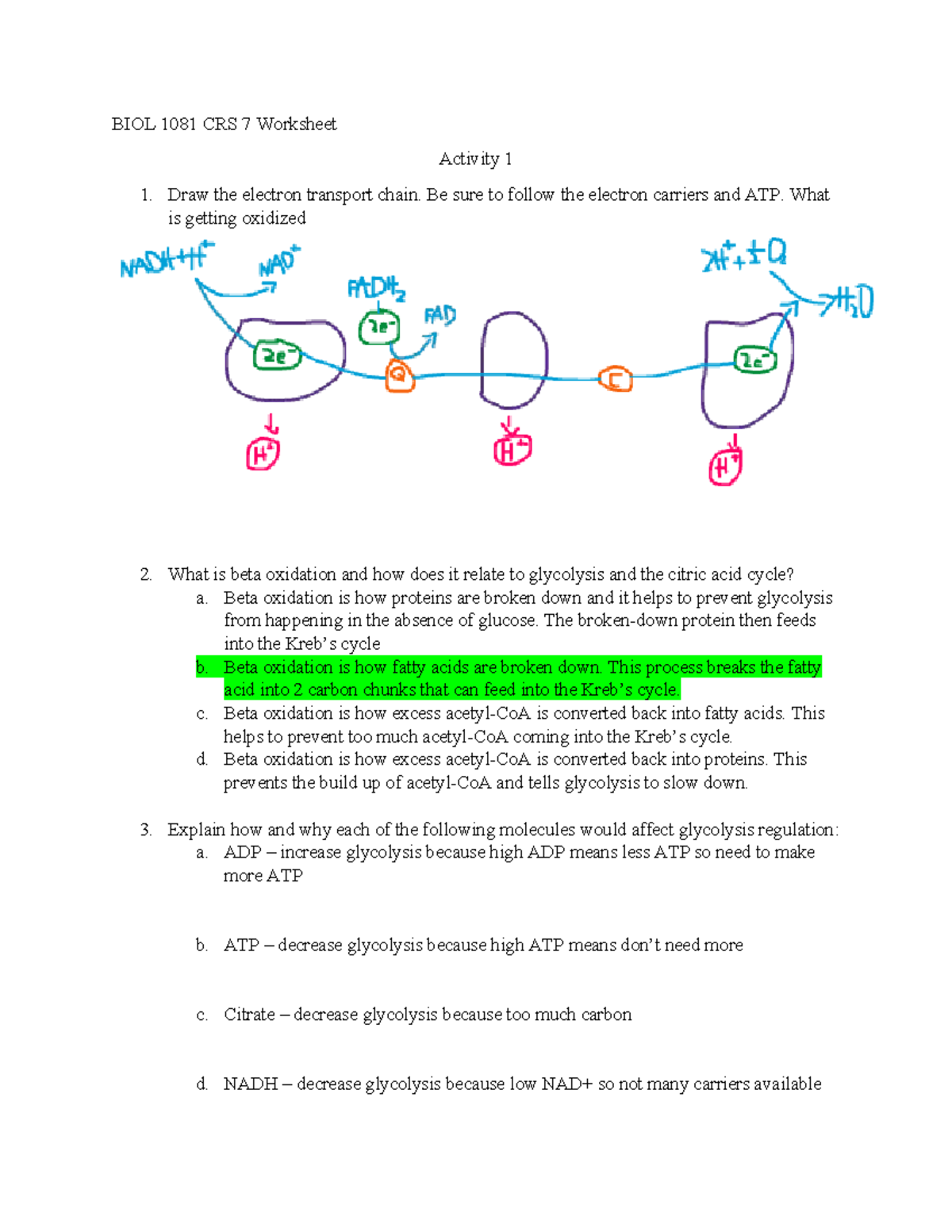 CRS 7 Worksheet - Review materials for Krebs Cycle - BIOL 1081 CRS 7 ...