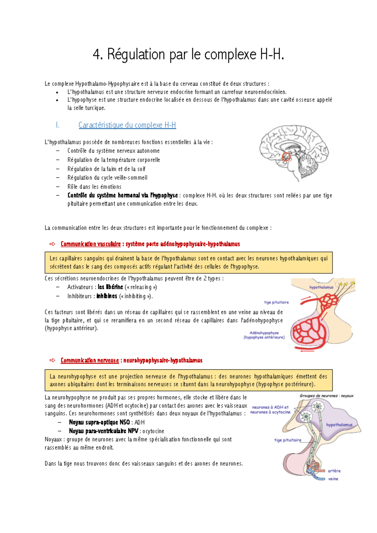 4. Complexe Hypothalamo-Hypophysaire (DUCHAMP) - 4. Régulation par le complexe H-H. Le complexe ...